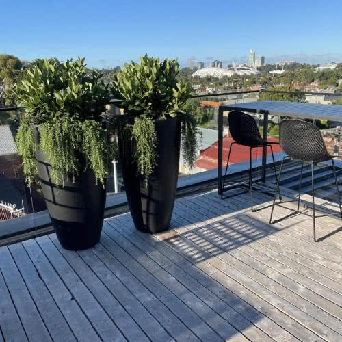 Bullet Planters call us 24/7 on 1300 139 173