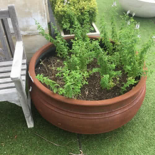 GRC Cauldron
