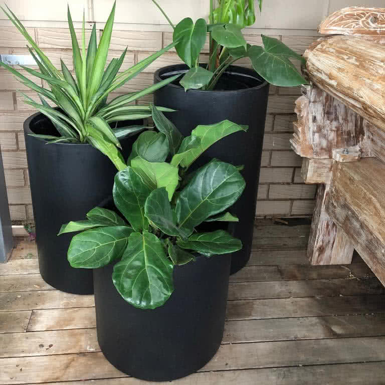 Bullet Planters call us 24/7 on 1300 139 173