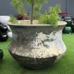 Thai Limestone Pots | Unique & Affordable | Pots Wholesale Direct